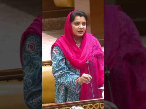 Sunbal Malik Hussain Mpa In Punjab Assembly #punjabassembly #session #politics