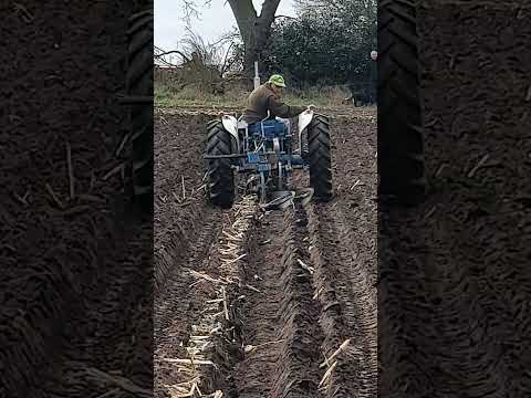 Ford 3000 Tractor at Tern Valley Vintage Ploughing Match - Sunday 16th March 2025
