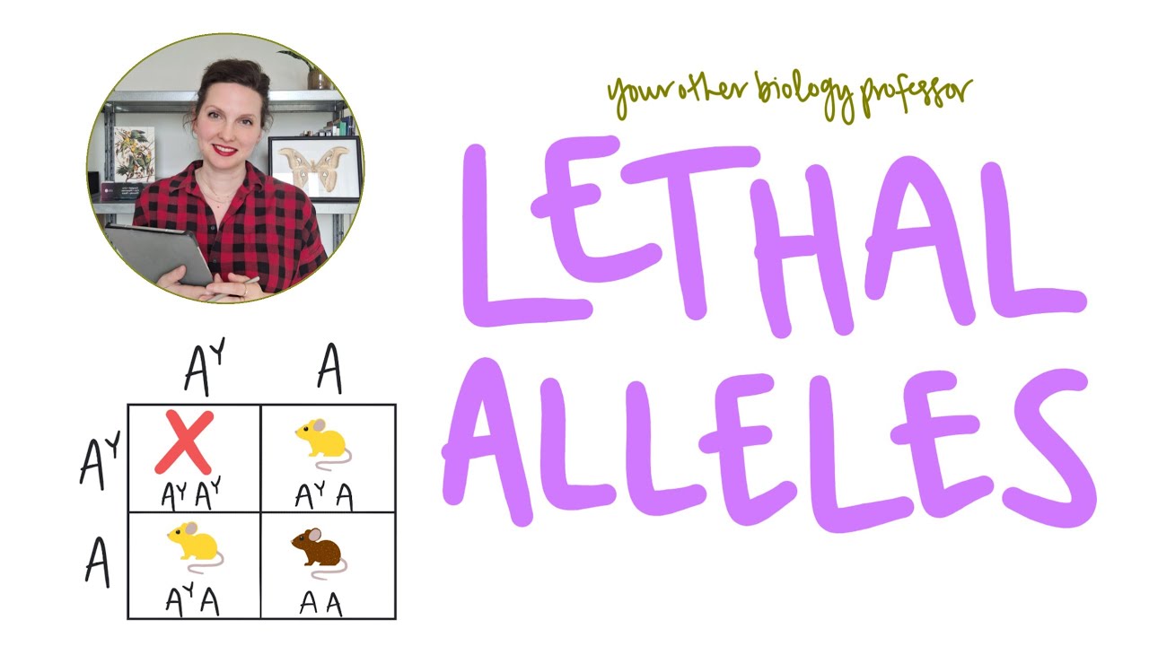 Lethal Alleles Explained: Recessive and Dominant Lethals with Examples