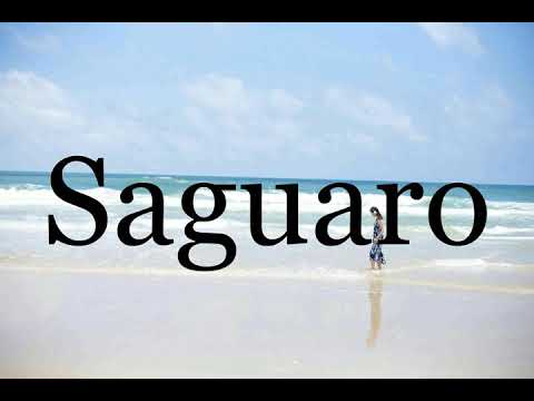 How To Pronounce Saguaro🌈🌈🌈🌈🌈🌈Pronunciation Of Saguaro