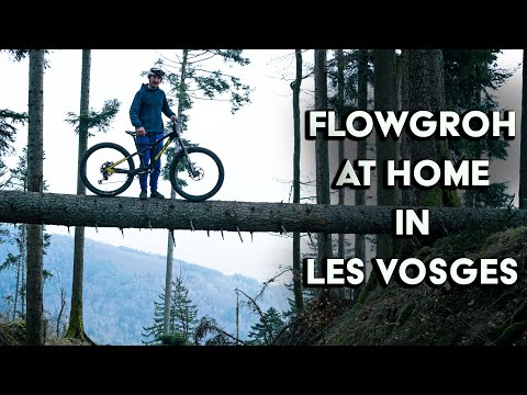 Flowgrow at Home in Les Vosges