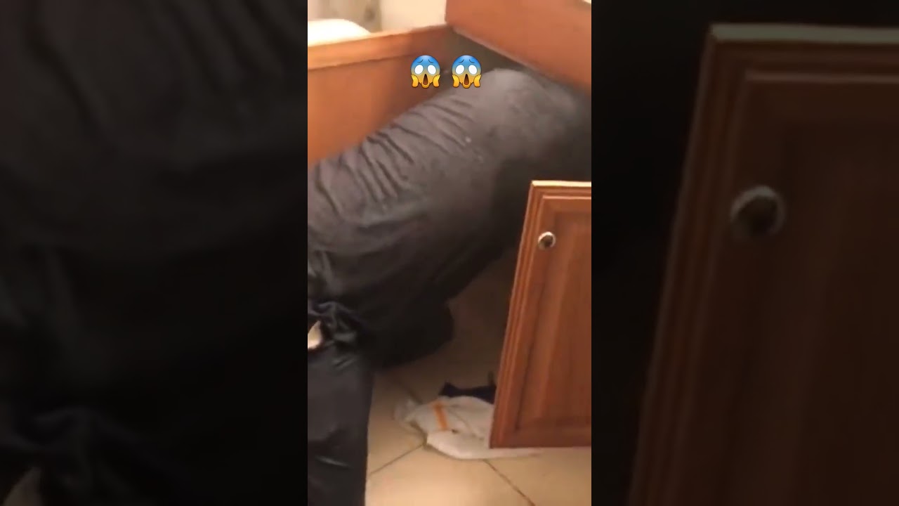 Someone definitely lied on their resume.... Plumber floods an upstairs apartment! #lol