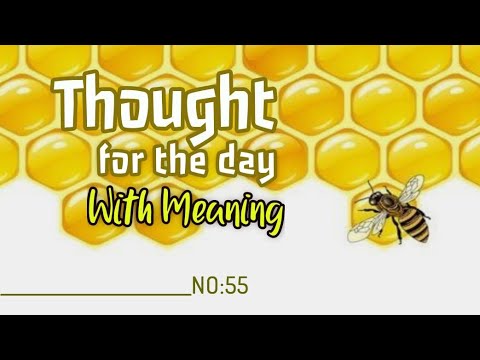 Thought for the Day in English with Meaning | Daily Thought | Thought of the Day | Daily Quotes