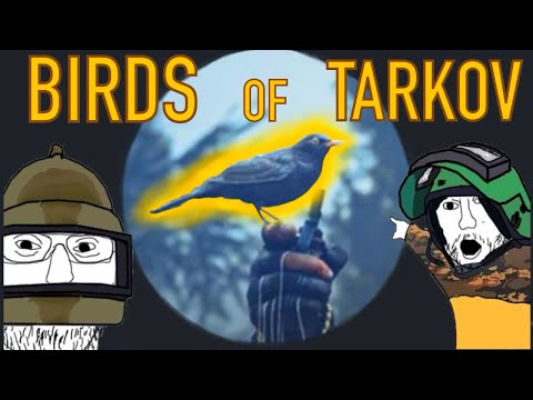 Birds Of Tarkov