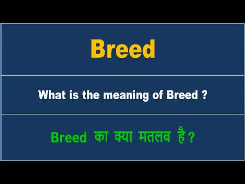 Breed meaning in Hindi | Breed ka kya matlab hota hai | daily use English words