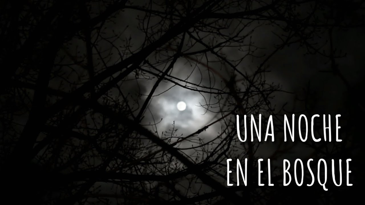 UNA NOCHE EN EL BOSQUE... SONIDOS DE LA NATURALEZA, NOCHE EN EL BOSQUE, GRILLOS, HOGUERA, BÚHOS...