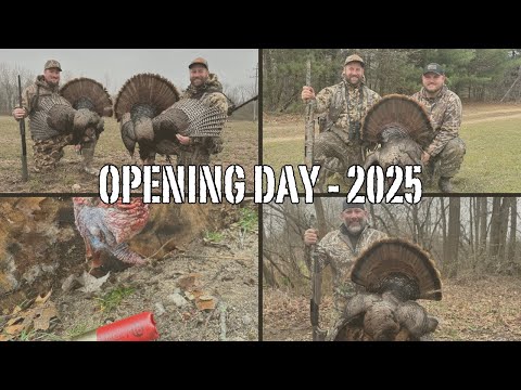Michigan Turkey Hunting 2025: 4 Birds Down - Opening Day