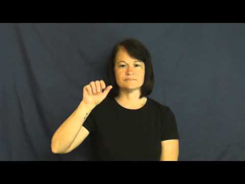 American Sign Language ASL Video Dictionary - pleasant