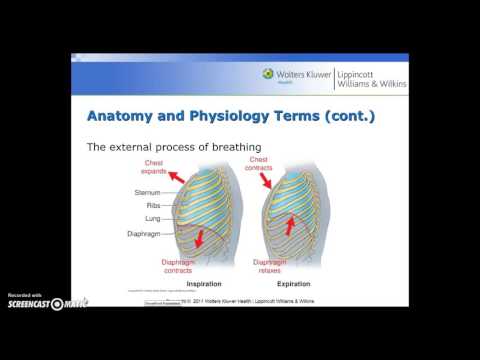 Medical Terminology - Chapter 9 - Part 1