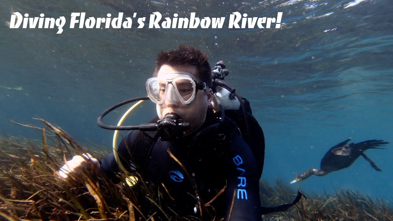 Diving the Rainbow River in Florida