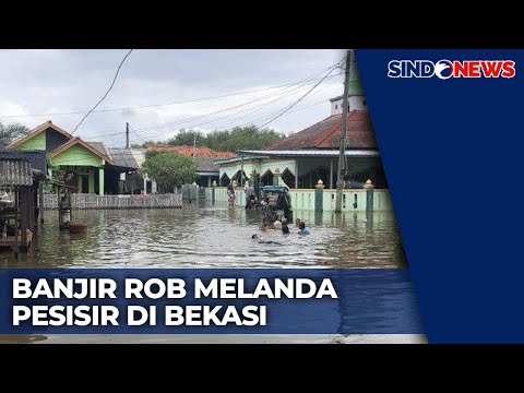 Penampakan Banjir Rob Bekasi, Rumah Terendam dan Akses Jalan Terputus - Sindo Sore 18/12