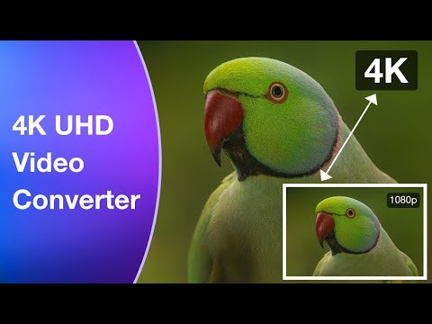 Best 4K Video Converter: Easily Convert 4K to 1080p and Vice Versa