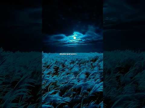 Arctic Monkey - Wanna Be Yours (Lyrics) | Aesthetic Edit | #lyrics #fypシ゚ #trending #shorts #viral