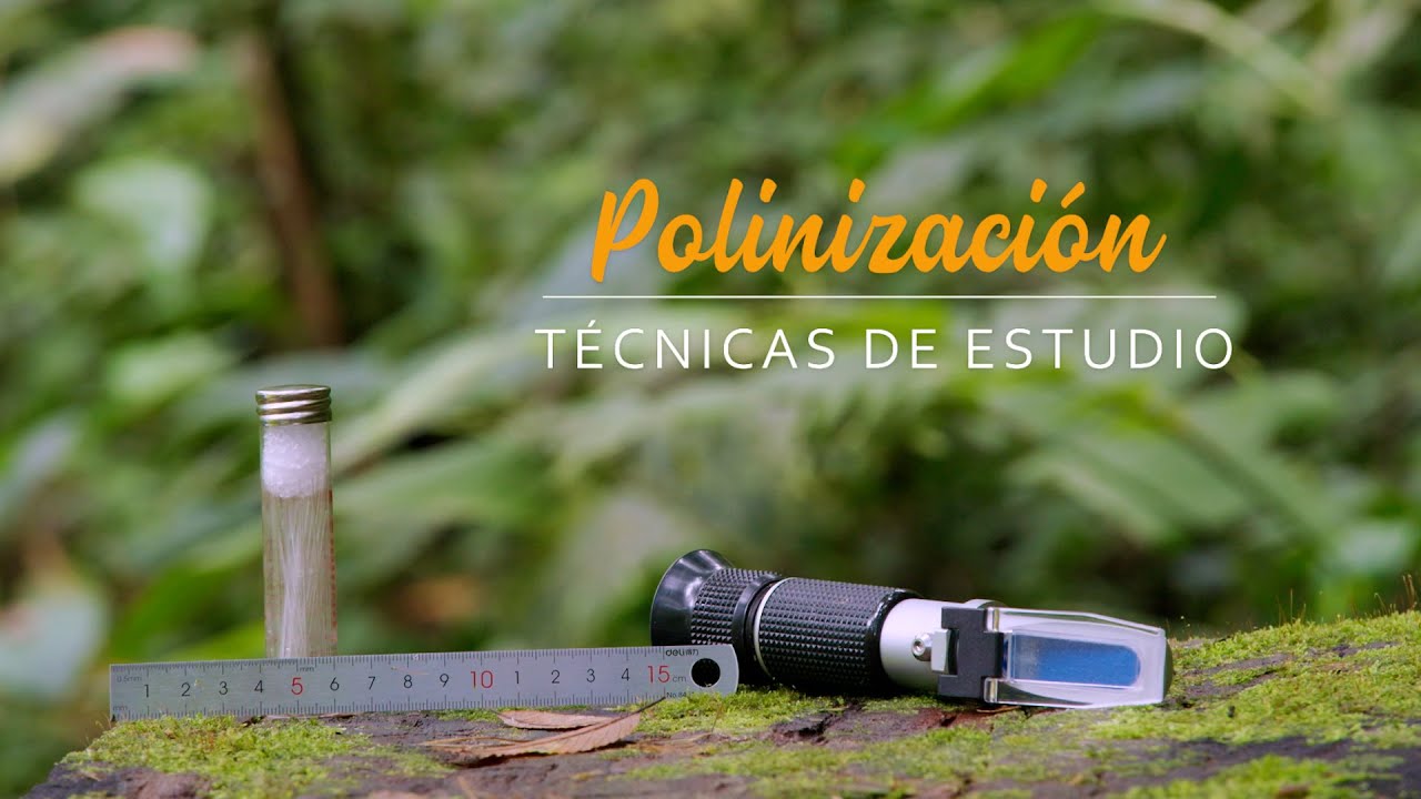 Polinización: Técnicas de Estudio