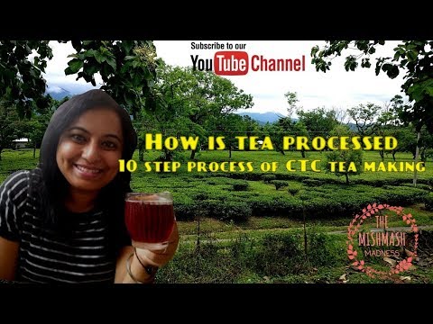 10 step process of CTC tea making - how tea is processed ?