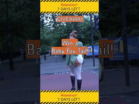 🚨 Attention! Seven Days Left to WIN a Baby Fox Tail! 🦊😍