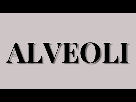 How to pronounce Alveoli