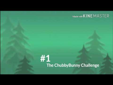 Top 3 Youtube Challenges