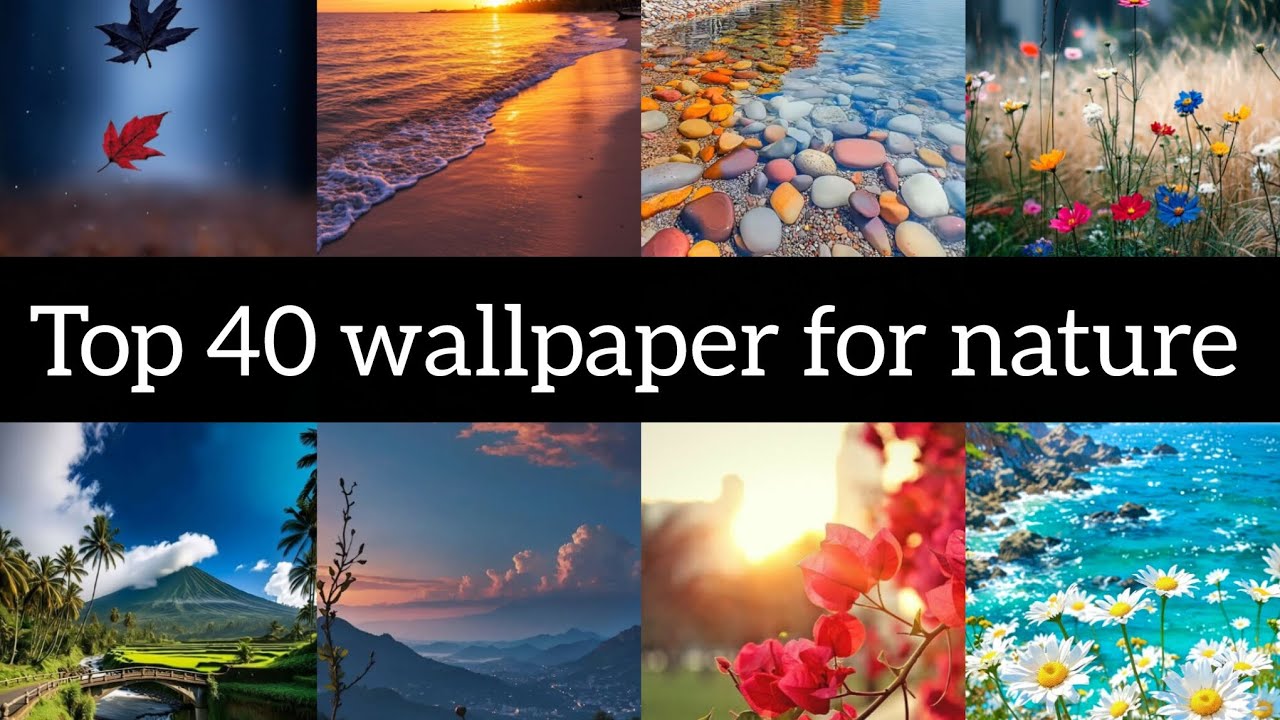 🌅 “Peaceful Nature Wallpaper | 4K Relaxing Backgrounds for Mobile & Desktop | WallAura”