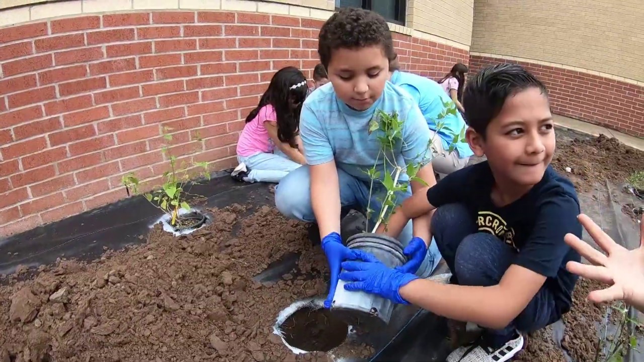 Learning Landscapes: Perez Elementary creates outdoor classroom