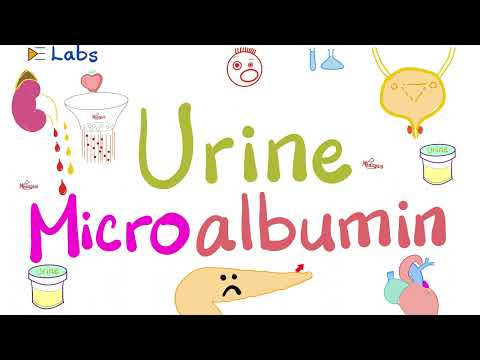 Microalbumin in the Urine (Microalbuminuria) - Diabetes Mellitus & Kidney Disease - Nephrology Labs