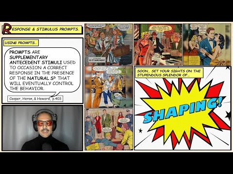 Response and Stimulus Prompts (Functional Analysis of Behavior 1)