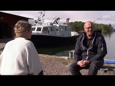 Aktuellt SVT Play 2023-07-07