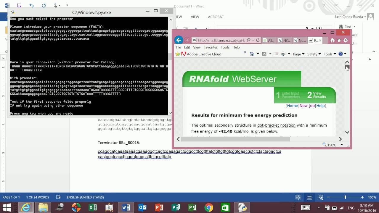 IGEM TecCEM_HS 2016: Software: Riboswitch Design Assistant tutorial