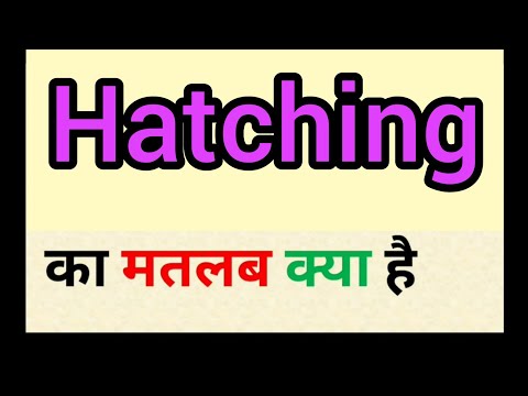 Hatching meaning in hindi || hatching ka matlab kya hota hai || word meaning english to hindi