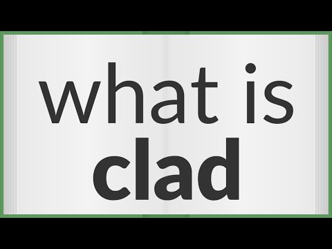Clad | meaning of Clad