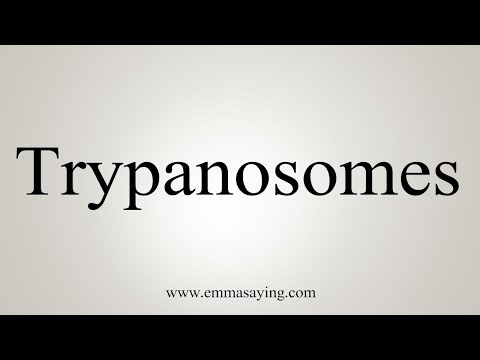 How To Say Trypanosomes