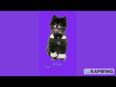 C'est quoi un chien ?