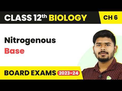 Class 12 Biology Chapter 6 | Nitrogenous Base - Molecular Basis of Inheritance (2022-23)