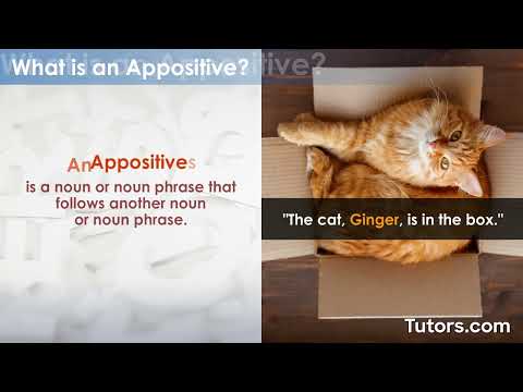 Appositives | Definition, Use, and Examples