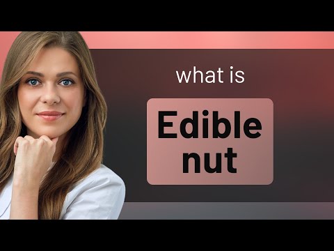 Edible nut | what is EDIBLE NUT definition