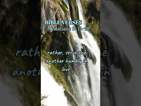 BIBLE VERSES. GALATIANS 5: 13-14