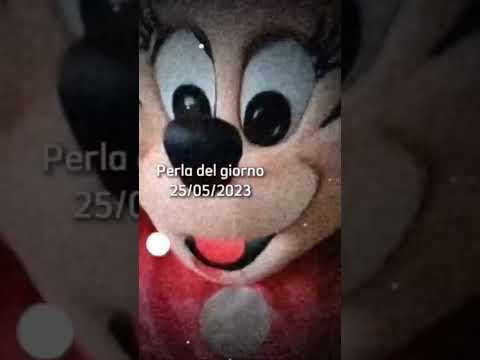 Perla del giorno: da dove viene questa topolina?? #meme #viral #news #whatsappstatus #shorts
