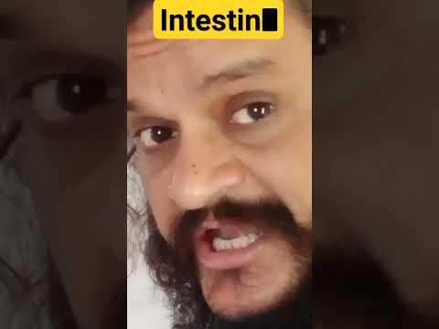 Intestine: Correct Pronunciation