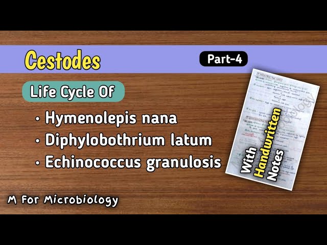 Understanding Cestodes: The Life Cycles of Hymenolepis nana ...