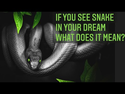 ISLAMIC INTERPRETATION OF DREAMS BY IBN SIREEN. WHEN YOU SEE SNAKES IN YOUR DREAM,WHAT DOES IT MEAN?