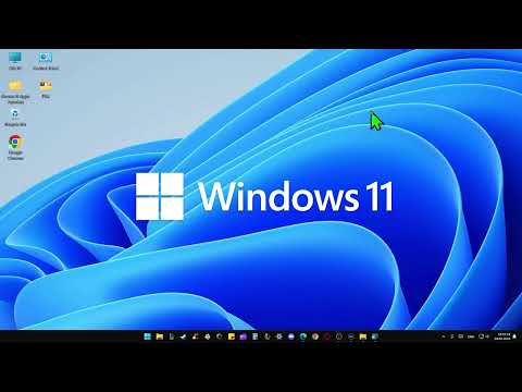 How to Use Color Filters in Windows 11 (2024)?