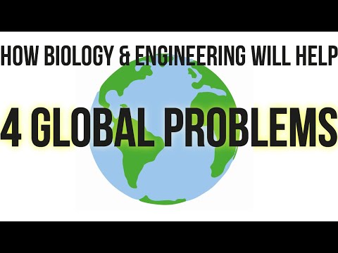 How to solve the 4 major global problems.