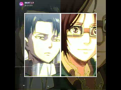 levi love hange