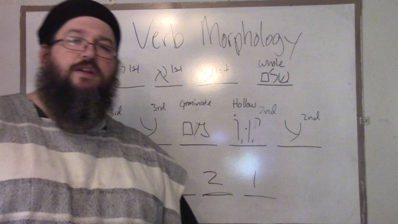 Verb Morphology