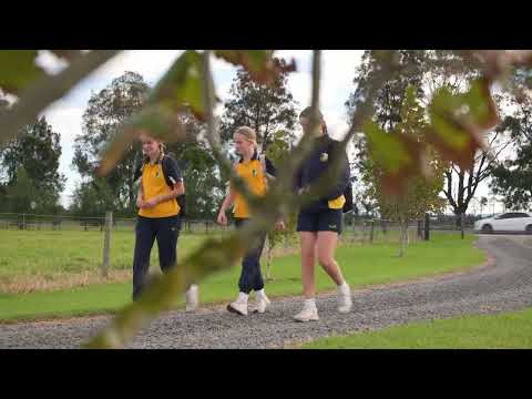 841 Greenwell Point Road, Pyree NSW 2540 - House for Sale | Domain