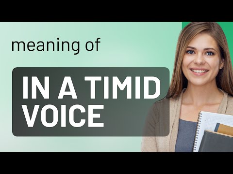 Understanding "In a Timid Voice": An English Phrase Explained