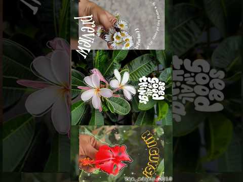 โจInstagram viral doodle outline photos editing || how to edit doodle outline photos#shorts#trending