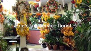3 Best Florists in Erie, PA - Expert Recommendations