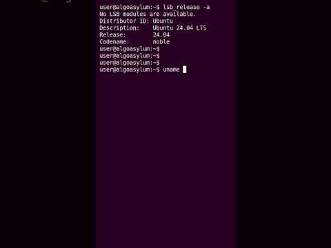 How to find the Ubuntu version, codename, and kernel information?