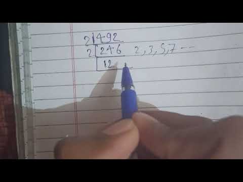 prime factors of 492